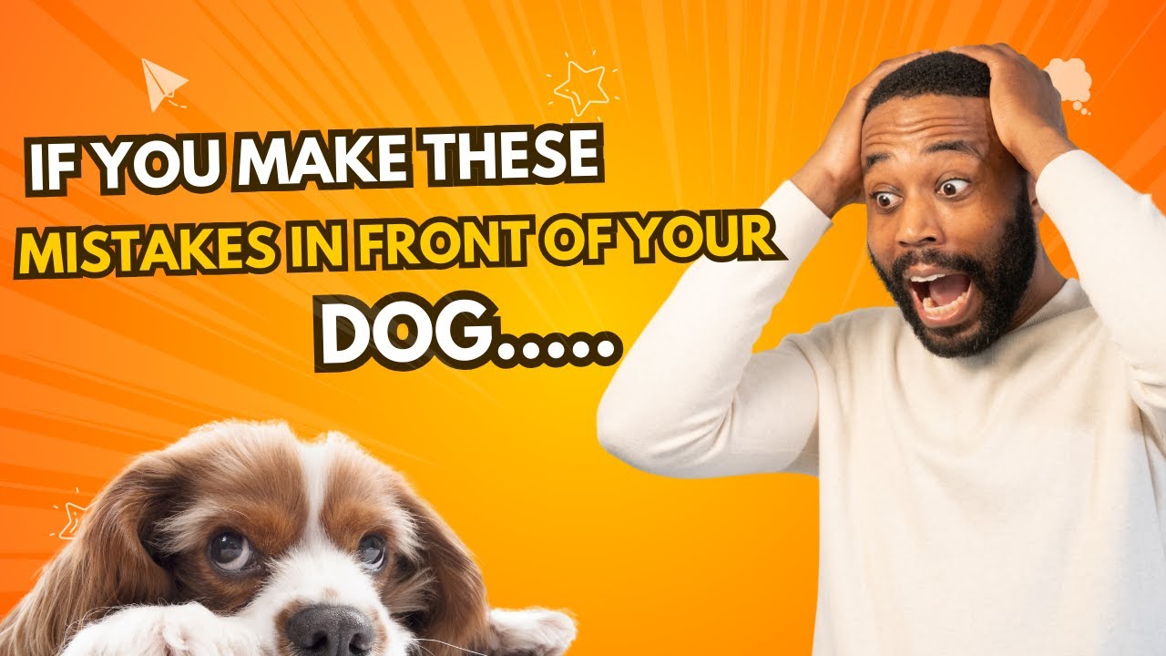 "Top Mistakes Dog Owners Make and How to Avoid Them" - YouTube