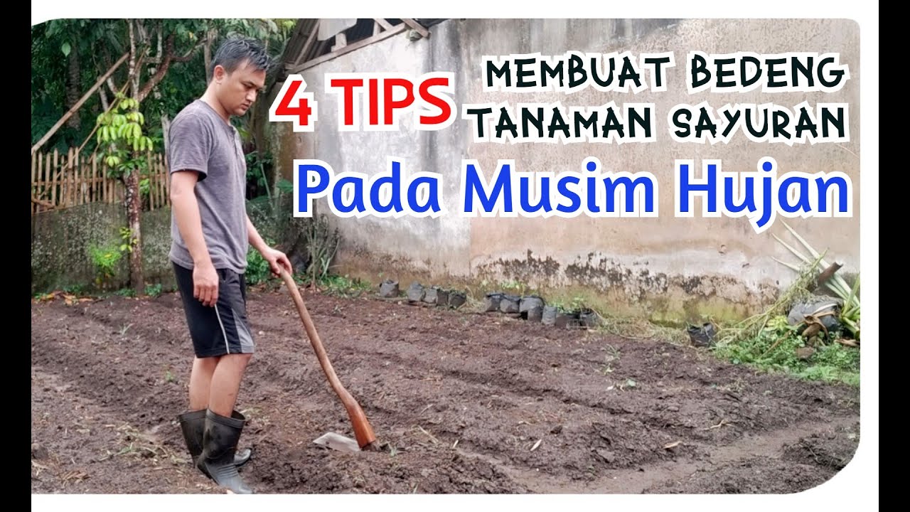 4 TIPS PEMBUATAN BEDENGANAN TANAM UNTUK SAYURAN - YouTube