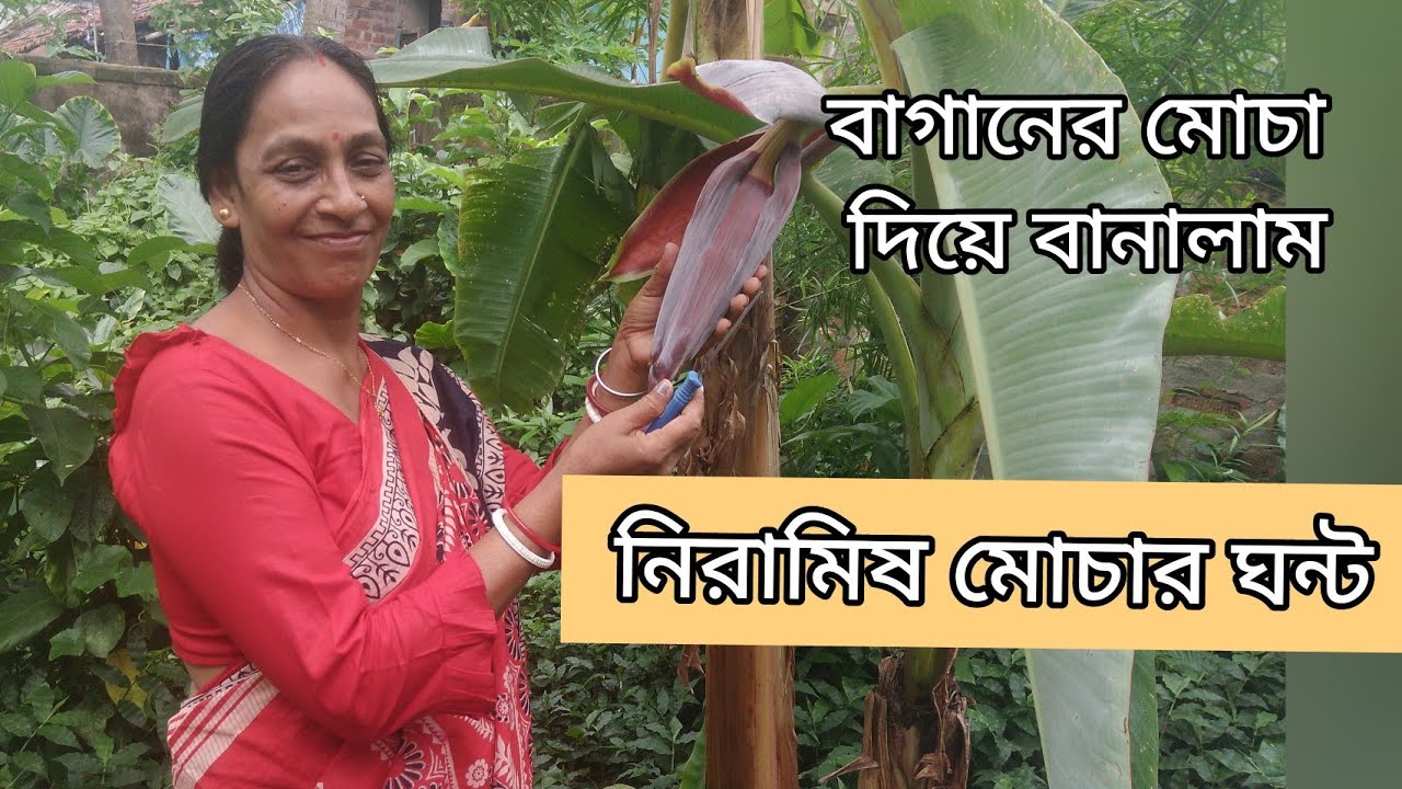 নিরামিষ মোচার ঘন্ট|Mochar Ghonto Recipe|Bengali Traditional Banana ...