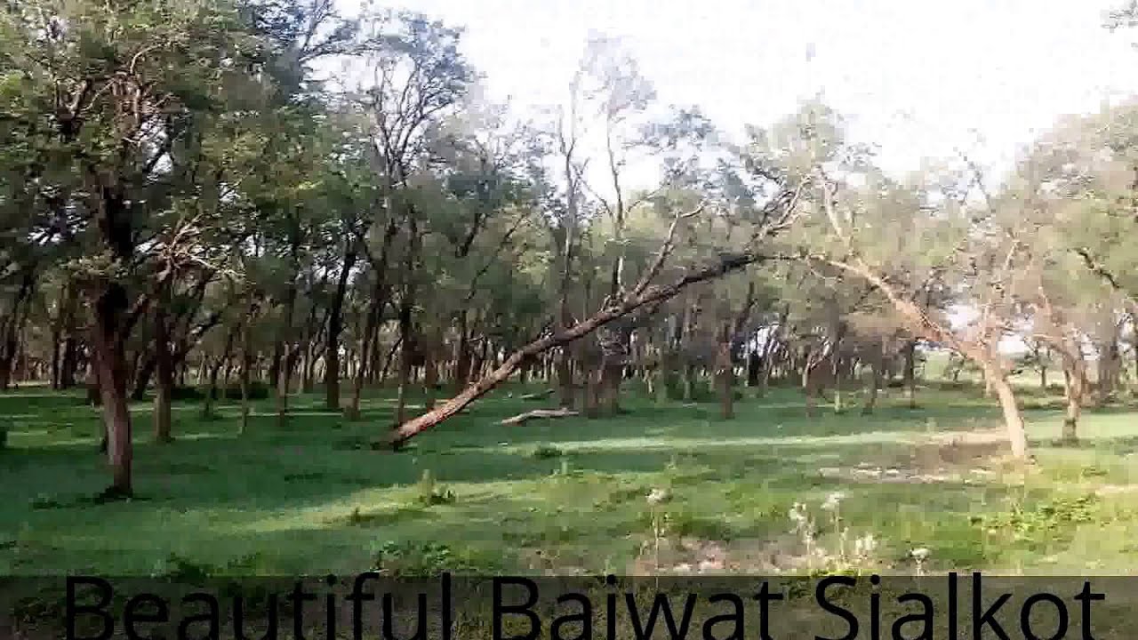 Sialkot (Bajwat) Pakistan - YouTube