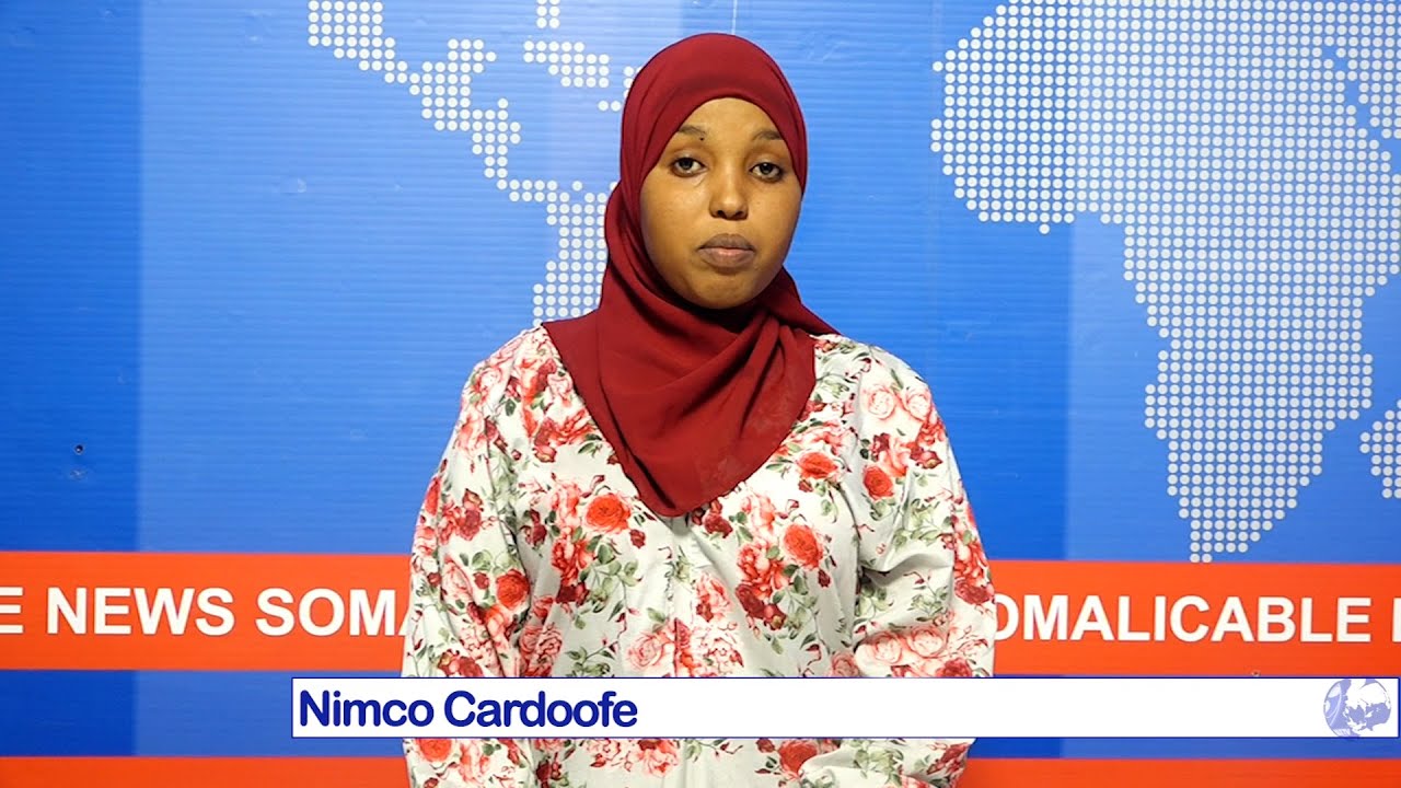 WARARKA SOMALI CABLE TV IYO NIMCO CARDOOFE 23 05 2023 - YouTube