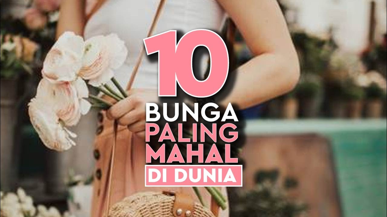 10 BUNGA PALING MAHAL DI DUNIA! - YouTube