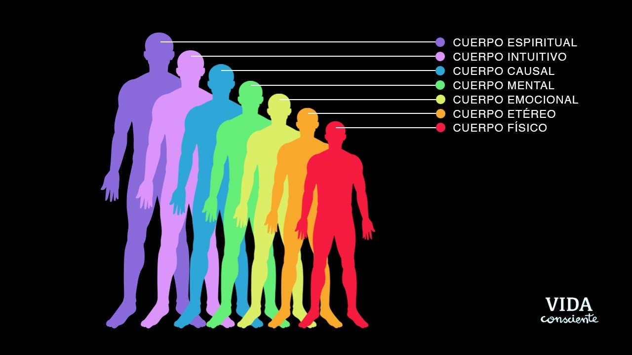 La Multidimensionalidad del Ser y los Cuerpos Sutiles - YouTube