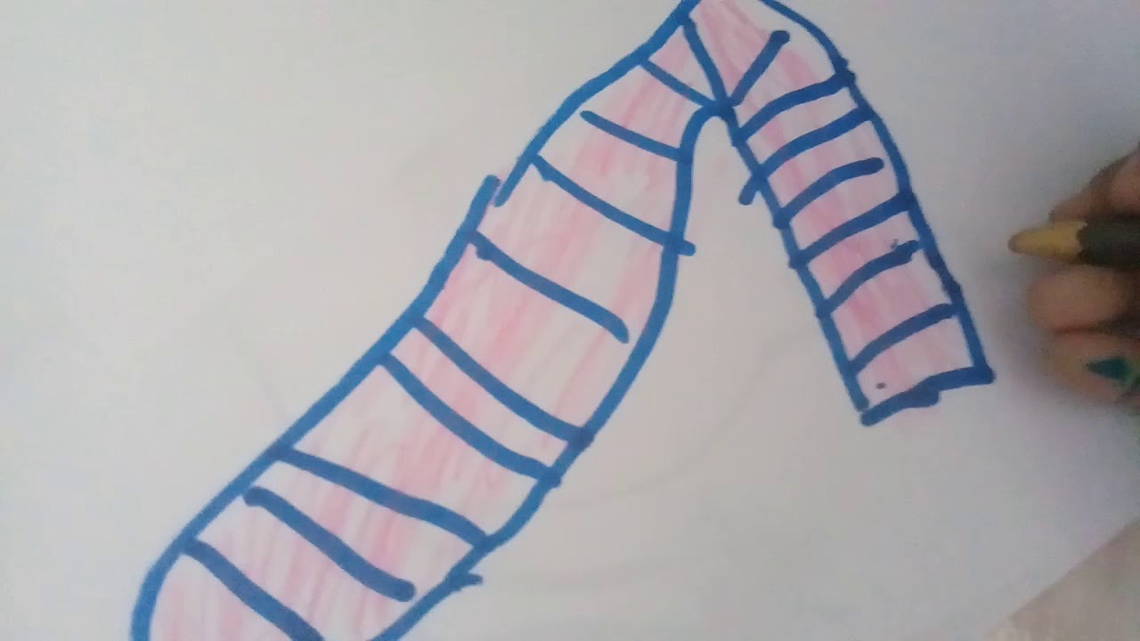 Desenhar um tubo - YouTube