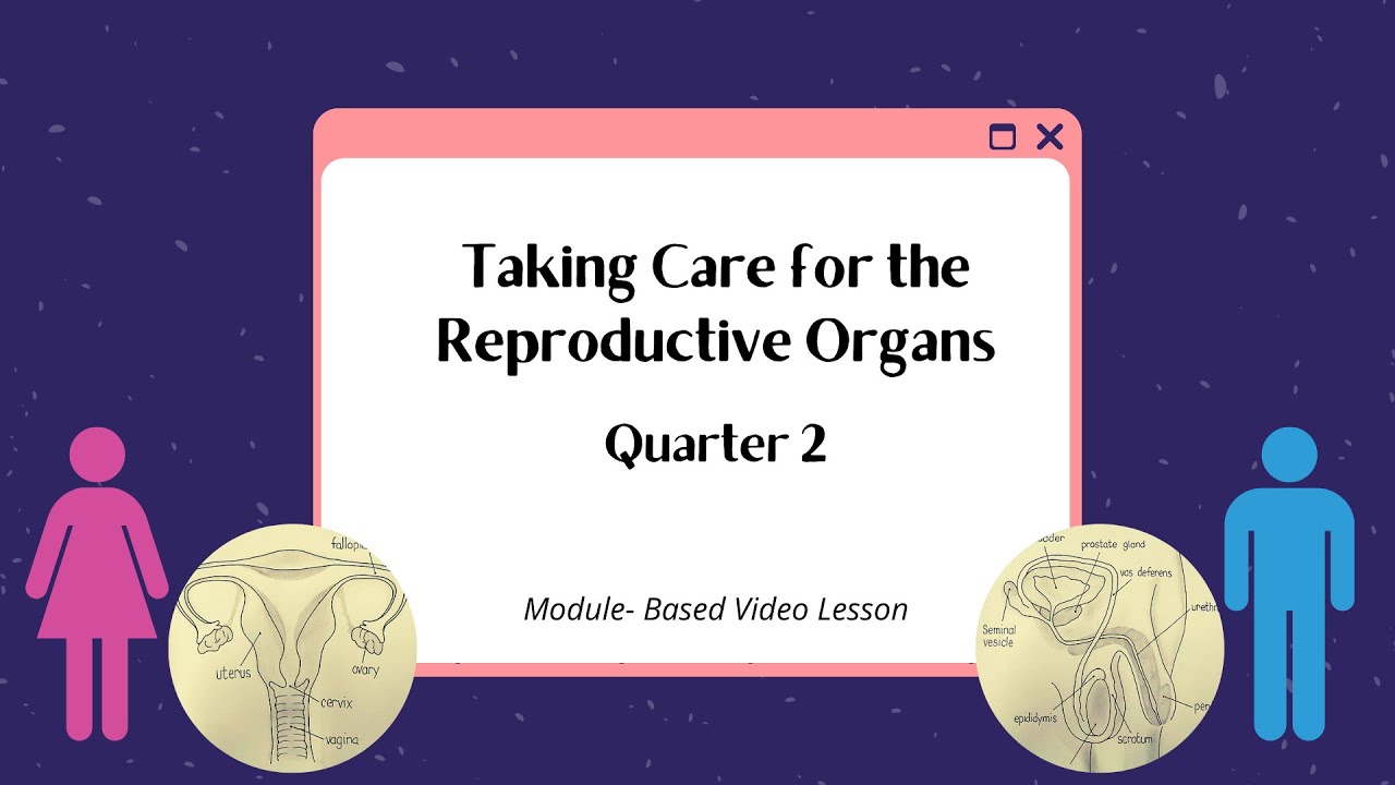 SCIENCE 5 Taking Care For The Reproductive Organs YouTube