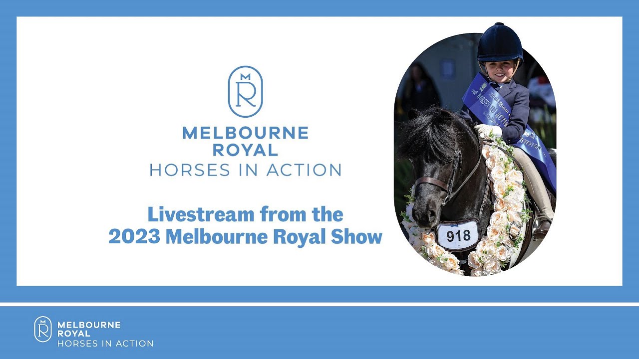Pope Cup | Horses in Action Competition | Melbourne Royal Show 2023 ...