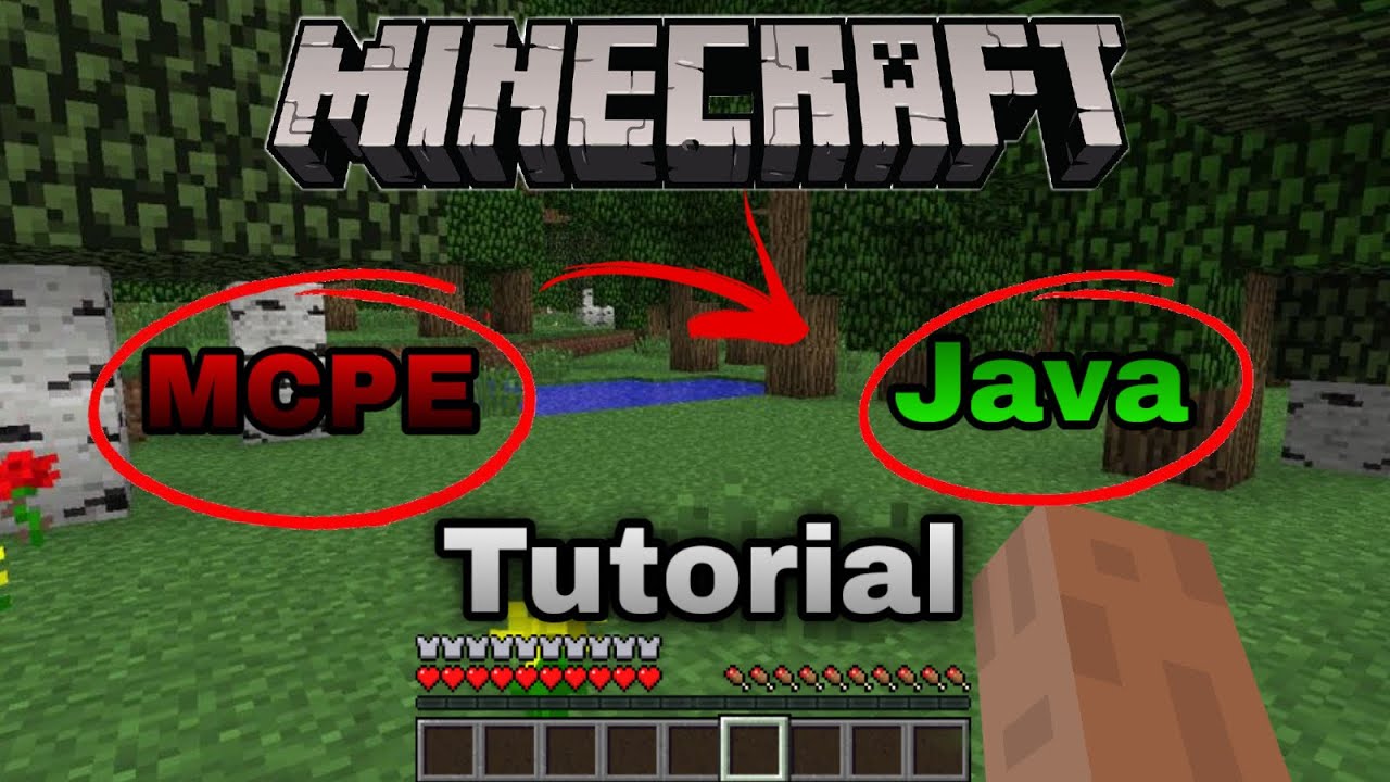 *COMO DEIXAR SEU MCPE IGUAL AO MINECRAFT JAVA* - YouTube