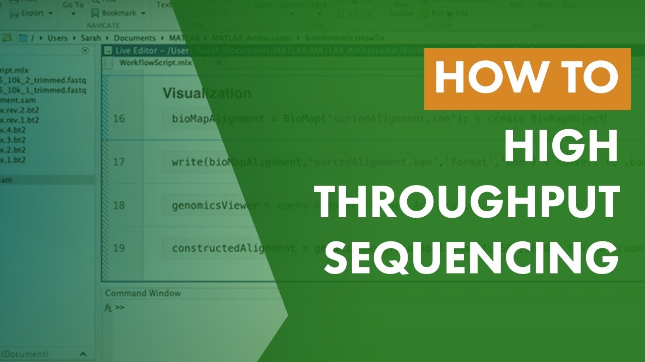 How to High Throughput Sequencing - YouTube