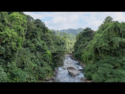 Amazing Views of Costa Rican Nature | El Camino de Costa Rica Hike