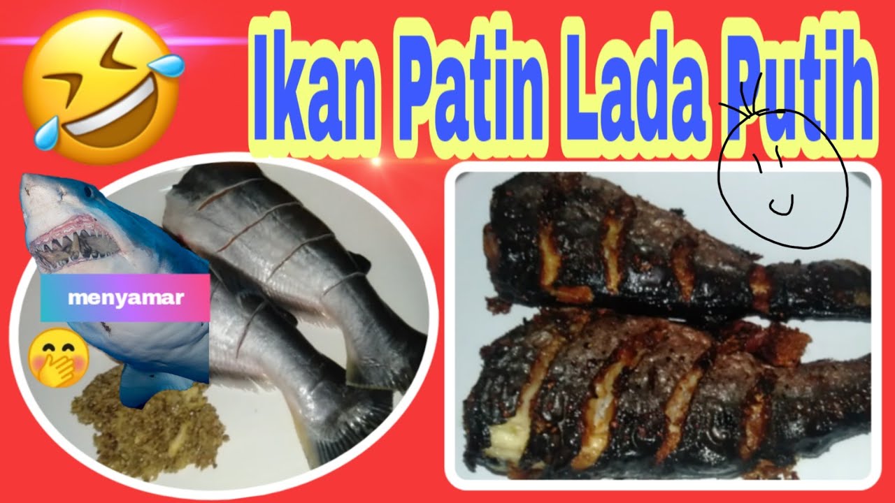 GORENG IKAN PATIN LADA PUTIH sedap dimakan begitu saja #cooking - YouTube