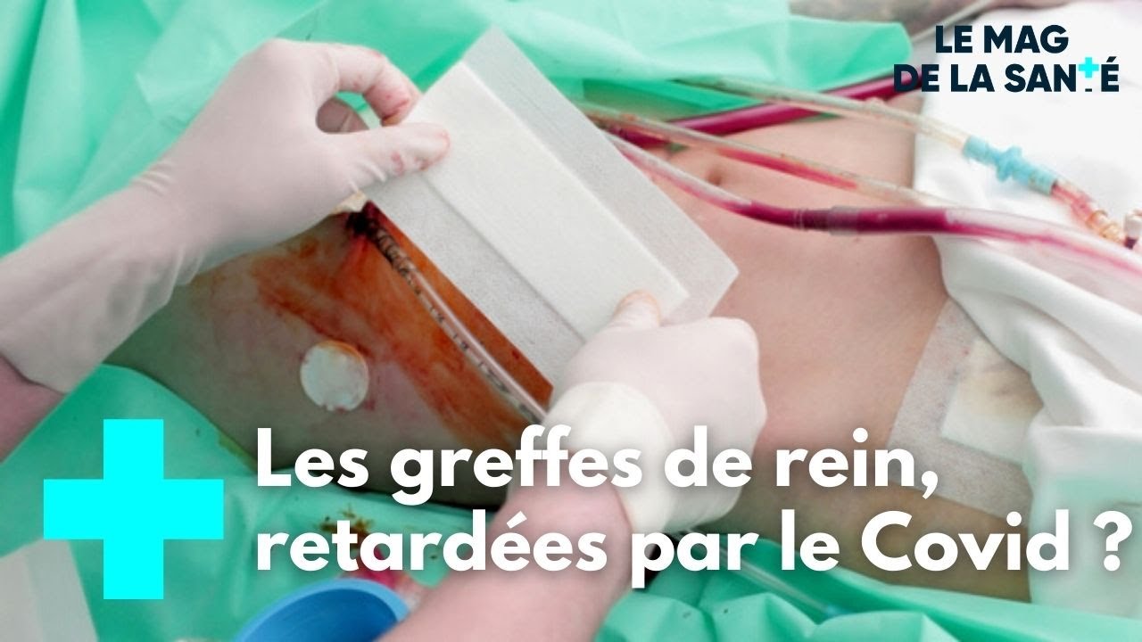 Les greffes de rein déprogrammées - Le magazine de la santé - YouTube