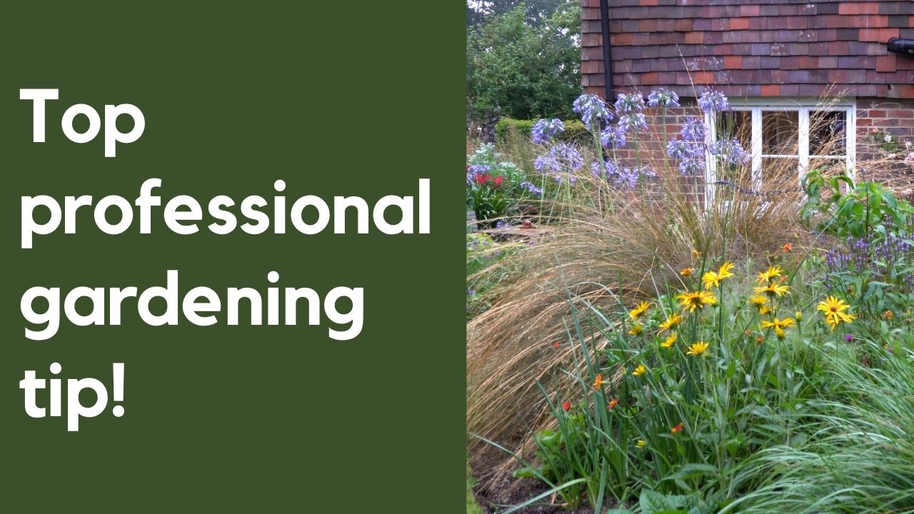 What Is a Micro-climate and Why Does It Matter For My Plants? - YouTube