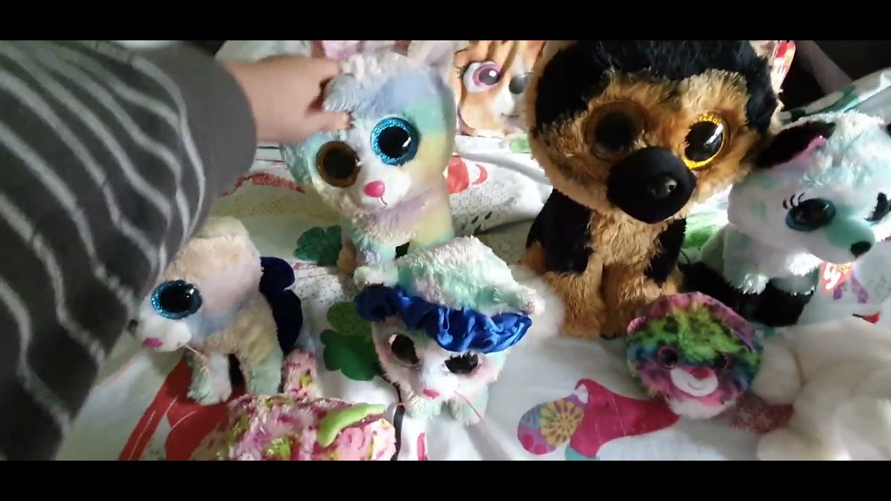 Time for our beanie boo celebration 🌸 - YouTube