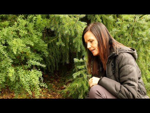 Eva Adams ~ Ocún ~ Penzion SURF garden