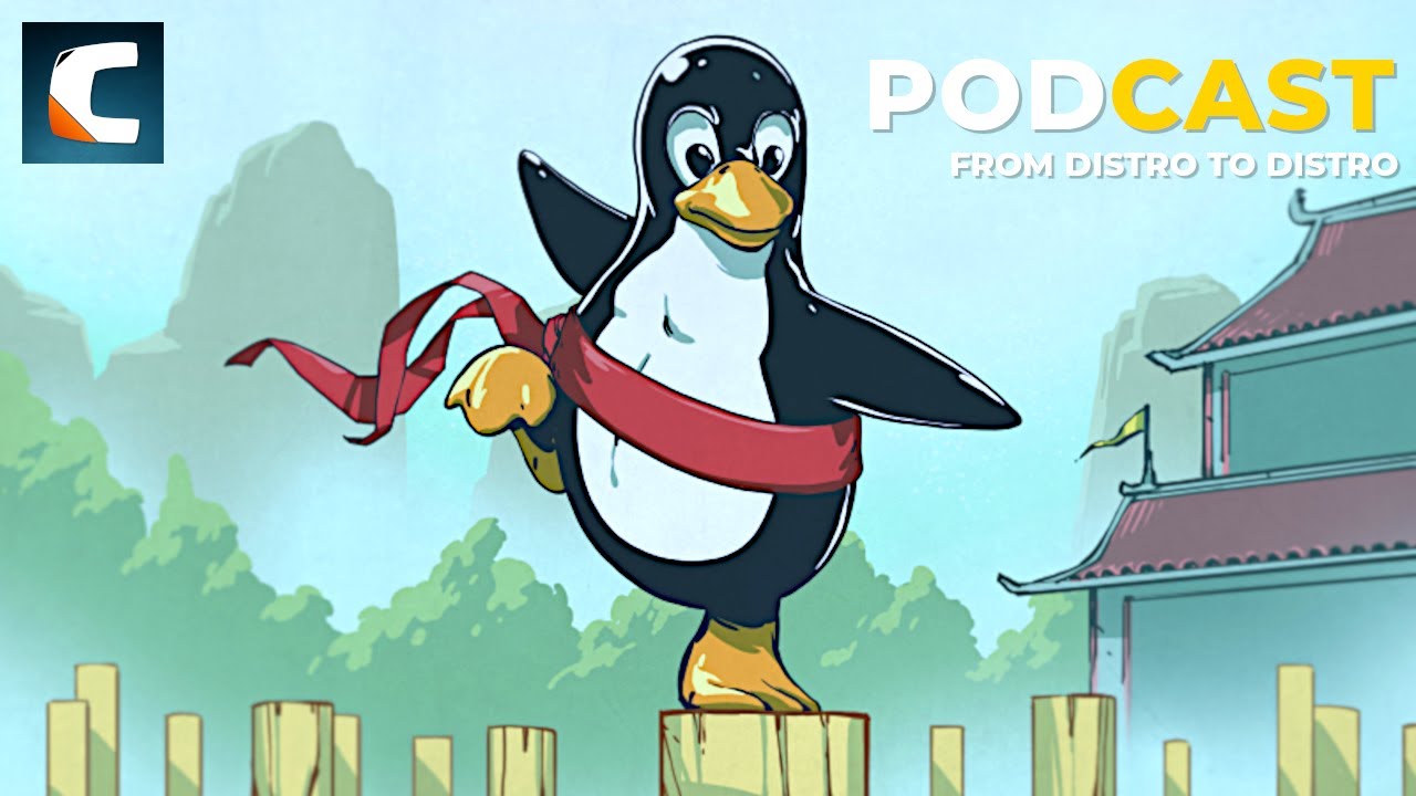 Linux non è Ubuntu...Allora che distro mi consigli ? (dobbiamo parlare ...