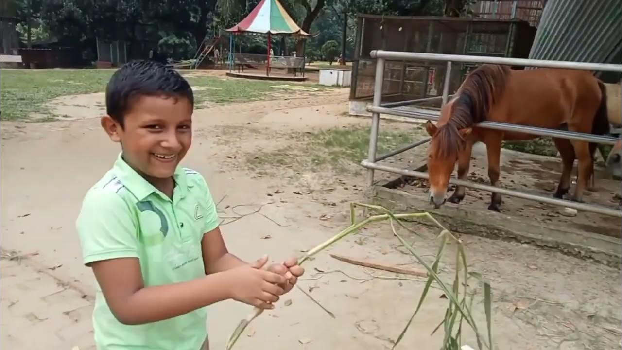 Mini Zoo in Savar, Zoo near to Dhaka - YouTube
