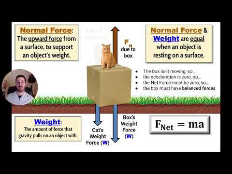 Physics Lesson - Normal Force & Tension - YouTube