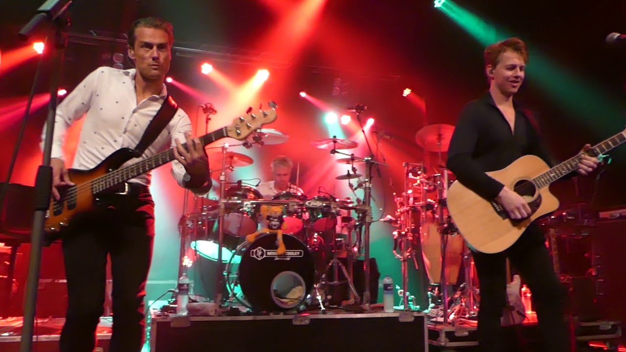 Tribute To The Cats Band / Time Machine. - YouTube