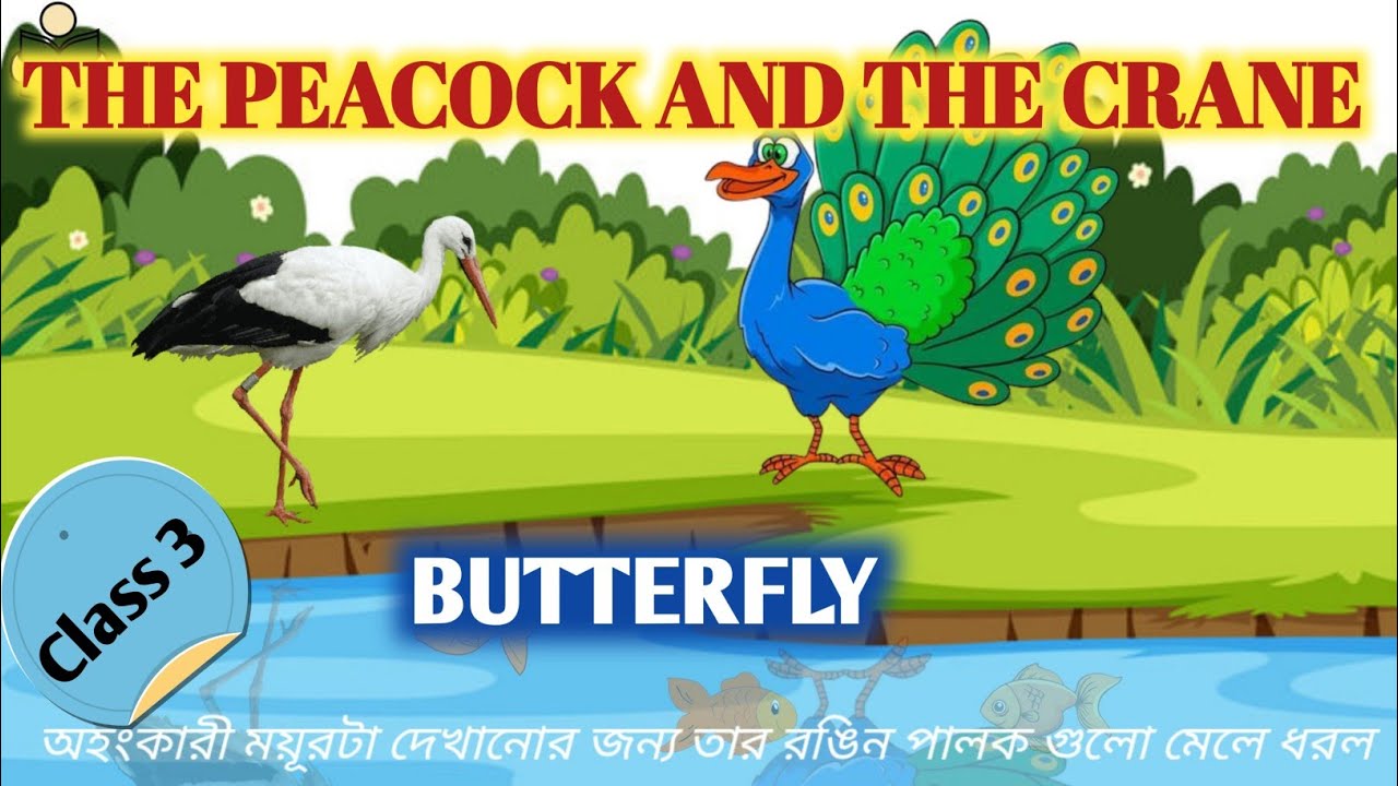 The peacock and the crane story | Class 3 | Butterfly - YouTube