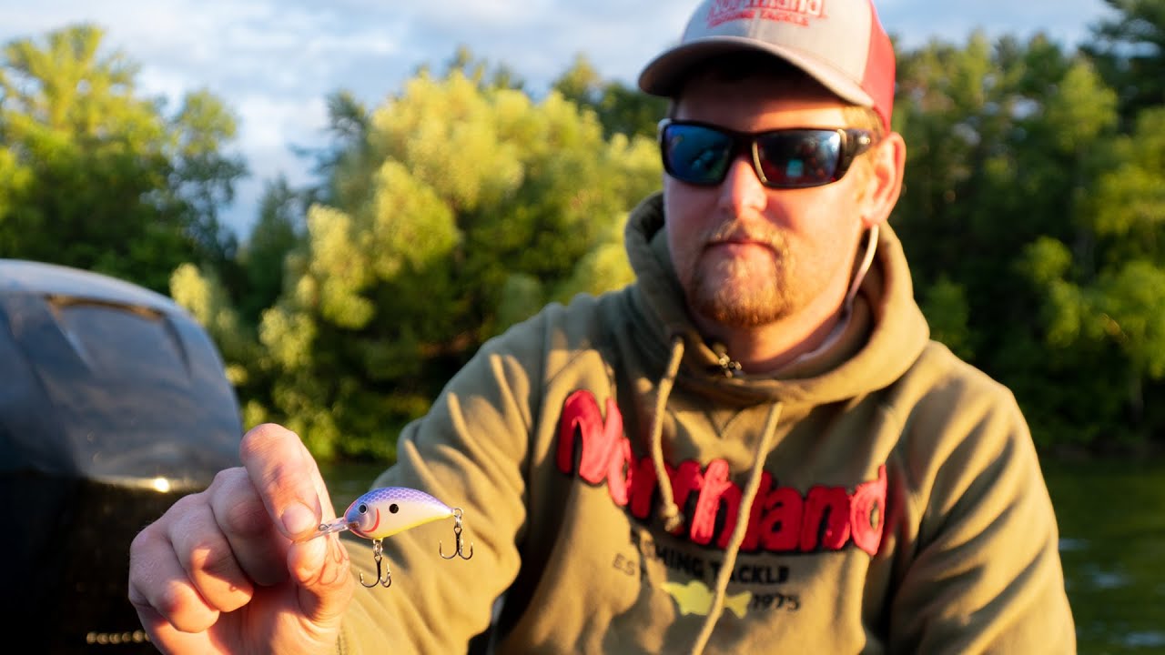 NEW! Northland Rumble Bug (AVAILABLE 2022) - YouTube