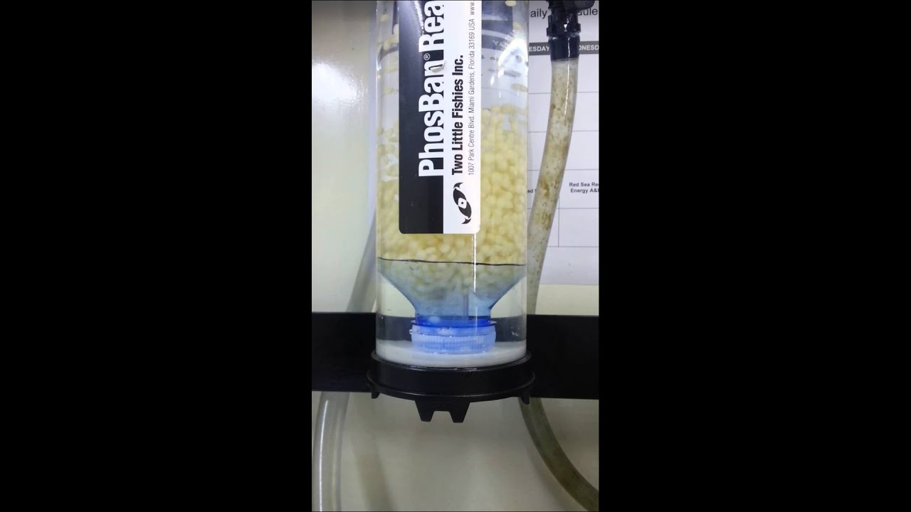 Two Little Fishies Phosban Reactor 150 for NPX Bio Pellets modification ...
