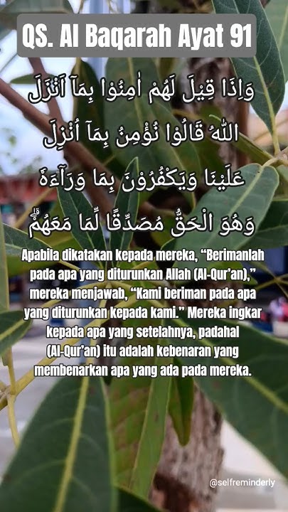 QS. Al Baqarah Ayat 91 #alquran #albaqarah #misharyrashidalfasy #quranrecitation #shortquran # ...