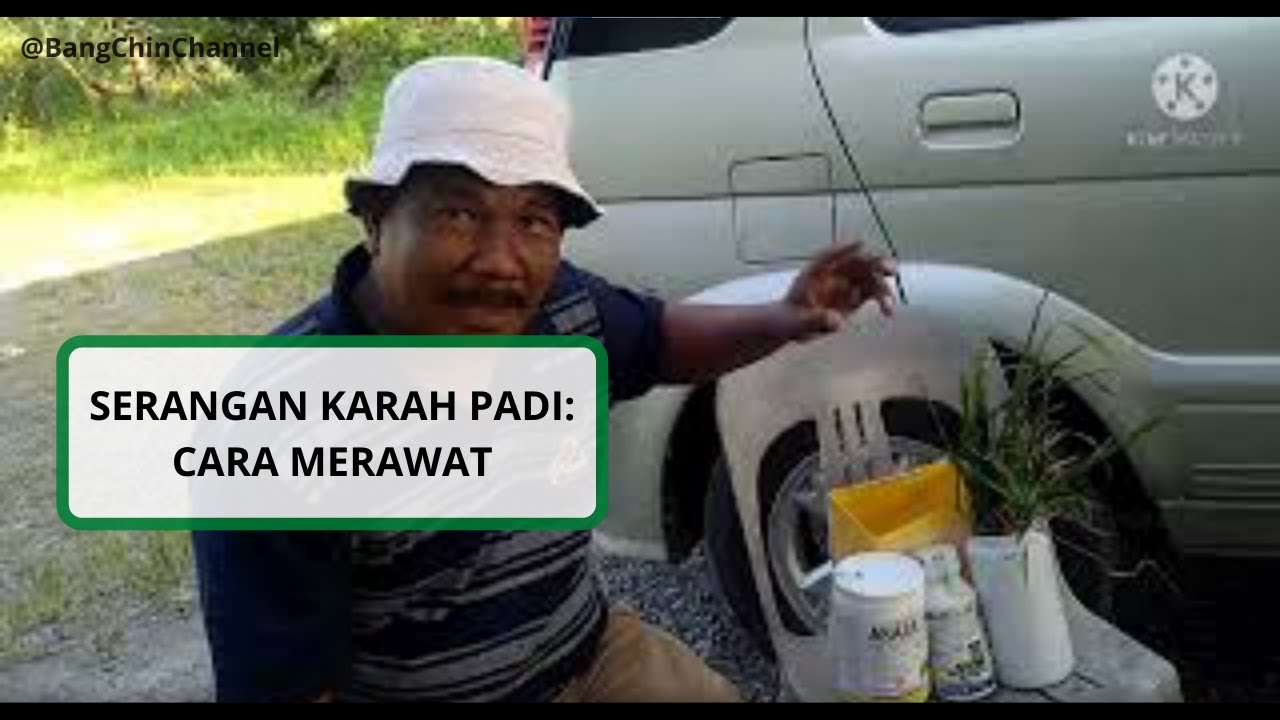 Serangan Karah Padi - Jom Rawat - YouTube