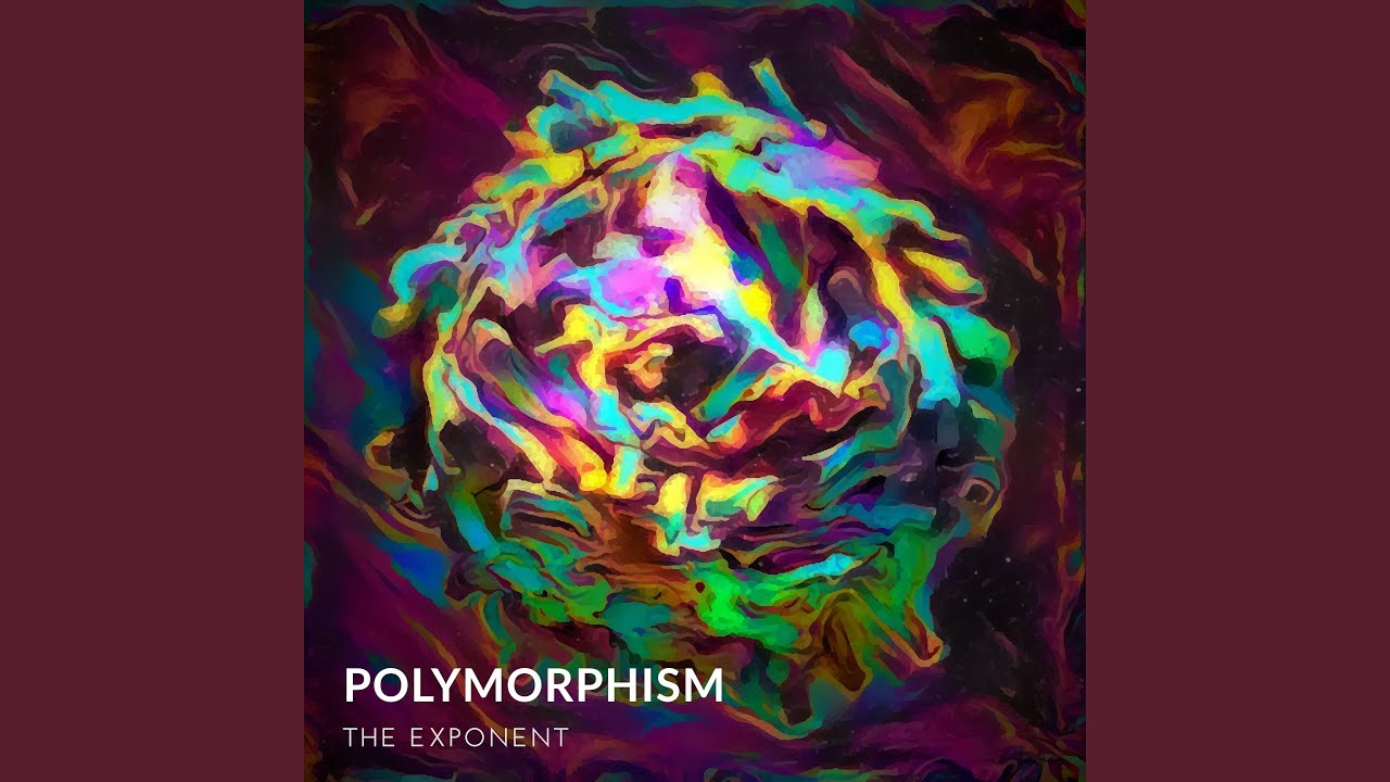 Polymorphism Youtube