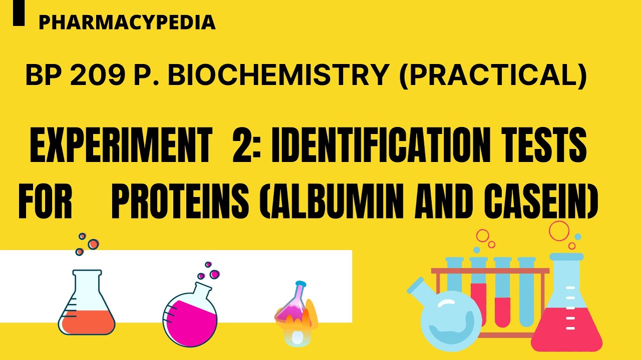Experiment : Identification tests for Proteins (albumin and Casein ...