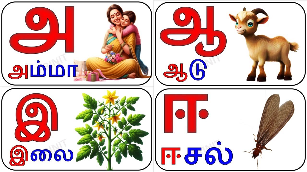 ஆ முதல் அக்கு வரை உள்ள வார்த்தைகள் அ ஆ இ ஈ உ ஊ/Tamil alphabets a Amma ...