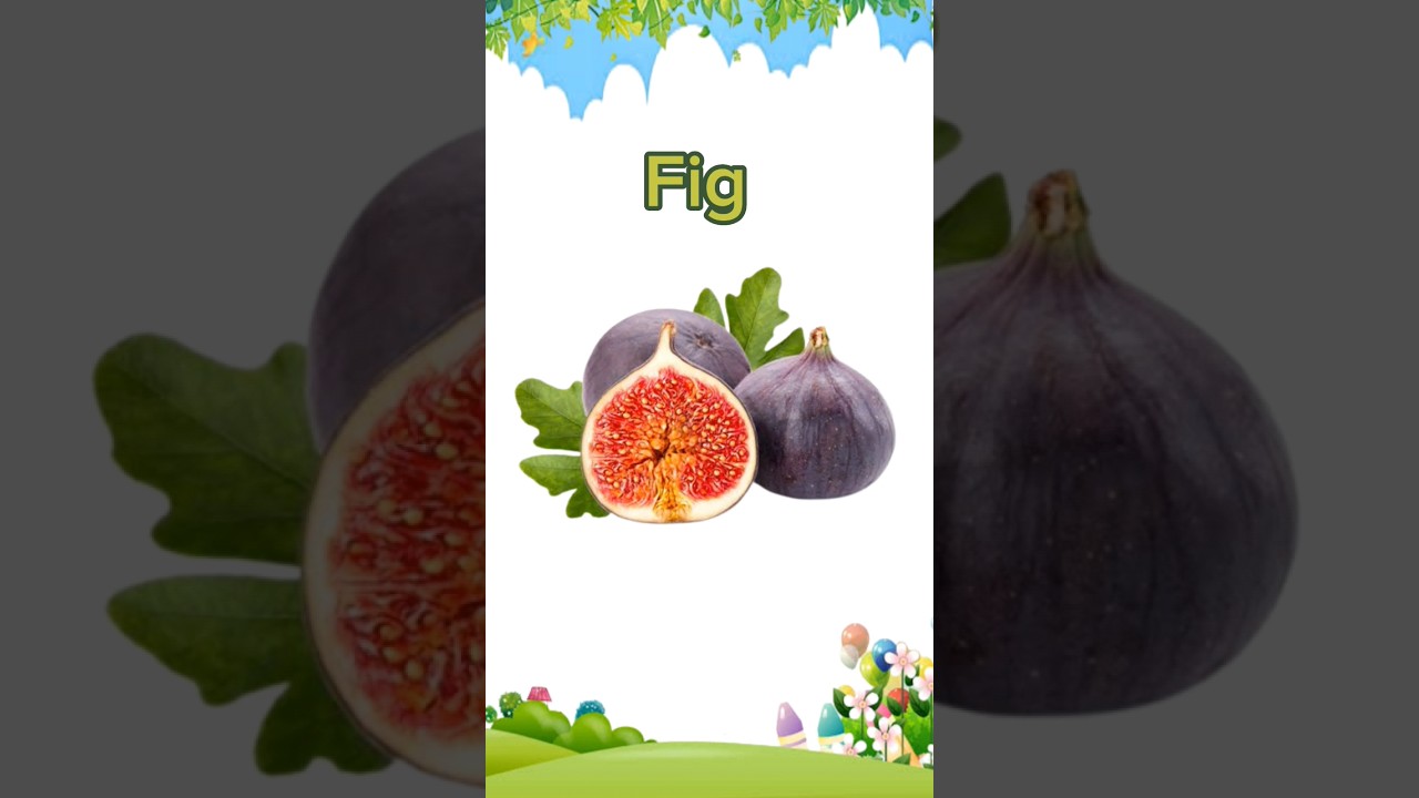 Fig | Fruit names starting with the letter F - YouTube