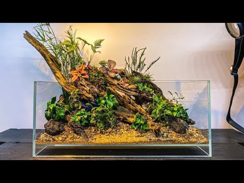 MY NANO AQUASCAPE | Low-Tech BETTA planted shallow tank aquascaping for ...