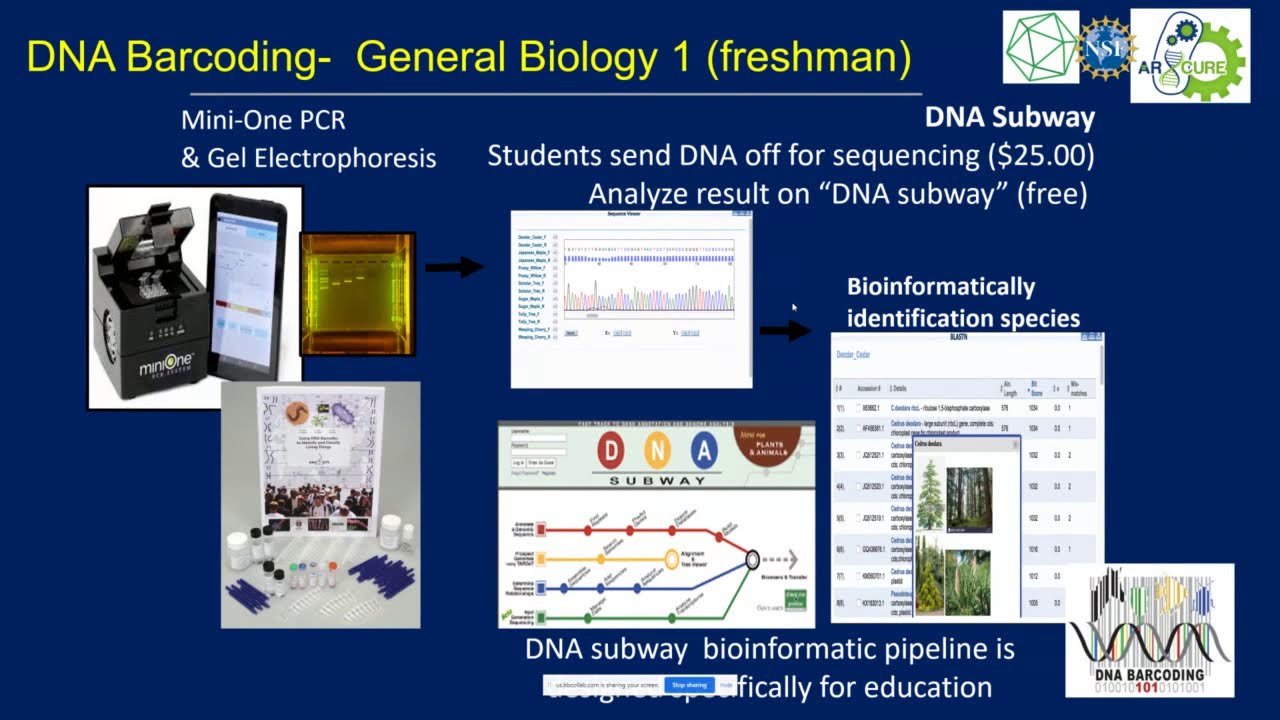 A Data Analysis First Approach to Incorporating Bioinformatics into the ...