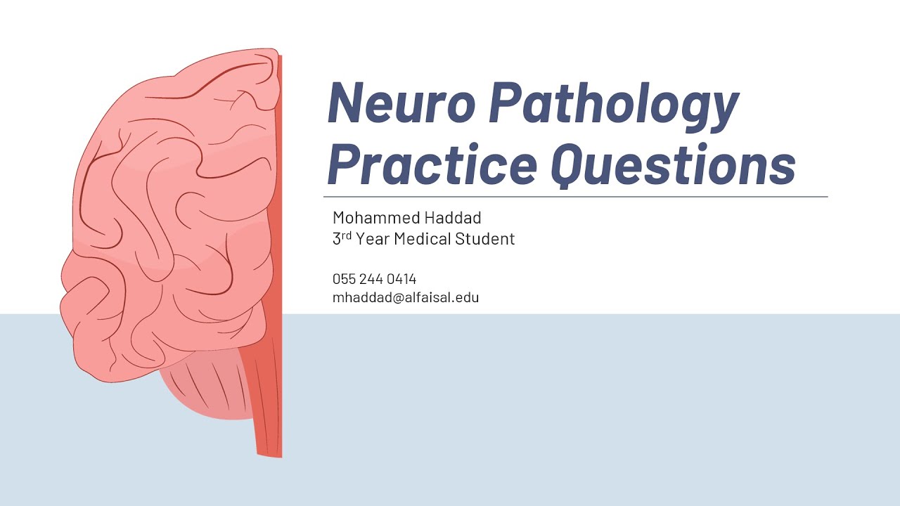 Pathology Practice Questions | Mohammed Haddad | NEU 241 PAL review ...