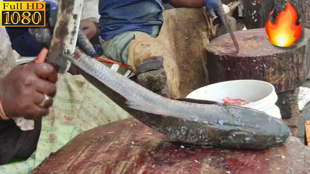 KASIMEDU 🔥SPEED SELVAM | BLACK COBIA FISH CUTTING🐟 | FISH CUTTING SKILL ...
