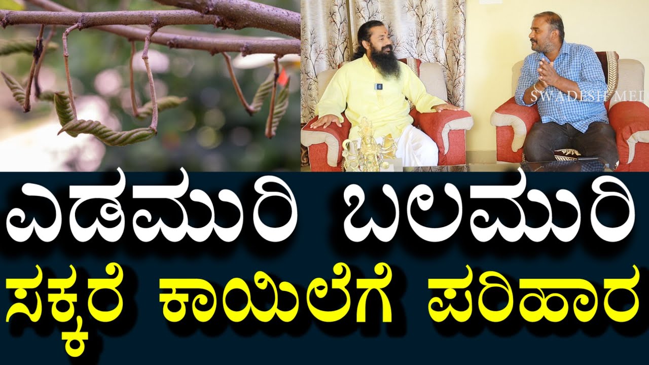 ಎಡಮುರಿ ಬಲಮುರಿ ಸಕ್ಕರೆ ಕಾಯಿಲೆಗೆ ನಂಬಲಾಗದ ಪರಿಹಾರ | Edamuri Balamuri is an ...