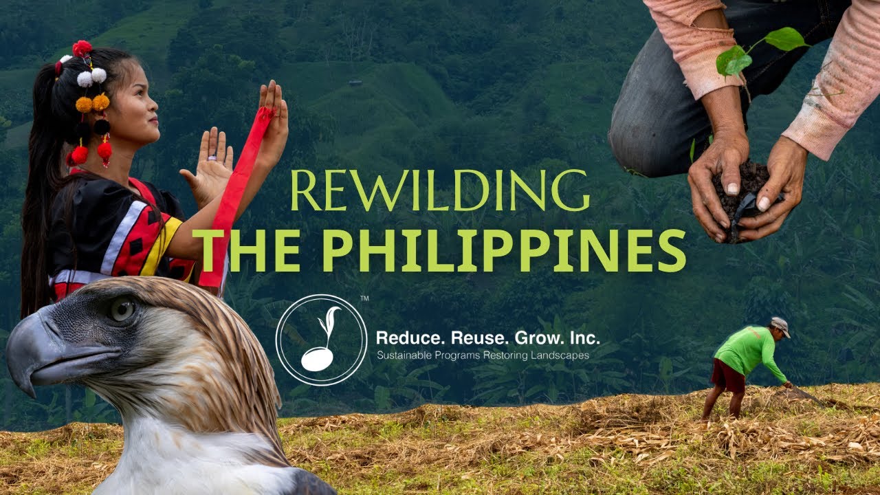 Rewilding Philippines - Restoring Habitat and Indigenous Lifeways - YouTube