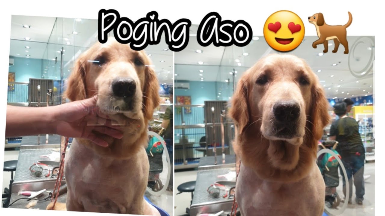 GROOMING POGING ASO | CHAYHADS - YouTube