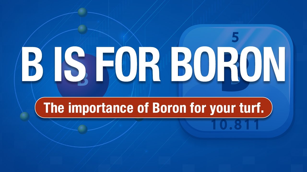 2 Minute Turf Talk - B is for Boron - YouTube