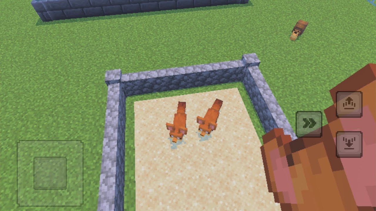 Minecraft Fennec Fox Zone Tutorial 🦊 - YouTube