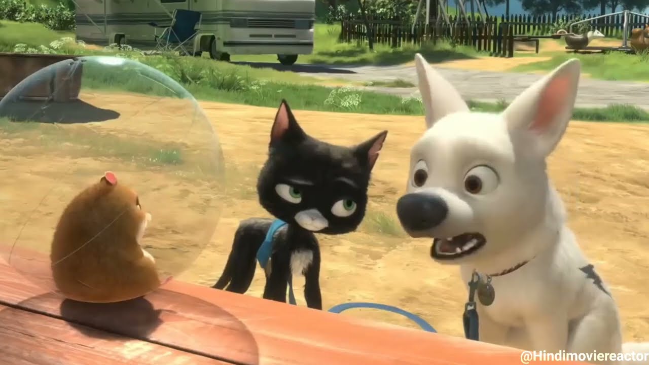 A dog who befriend with a hamster | Bolt movie explained, cartoon story ...