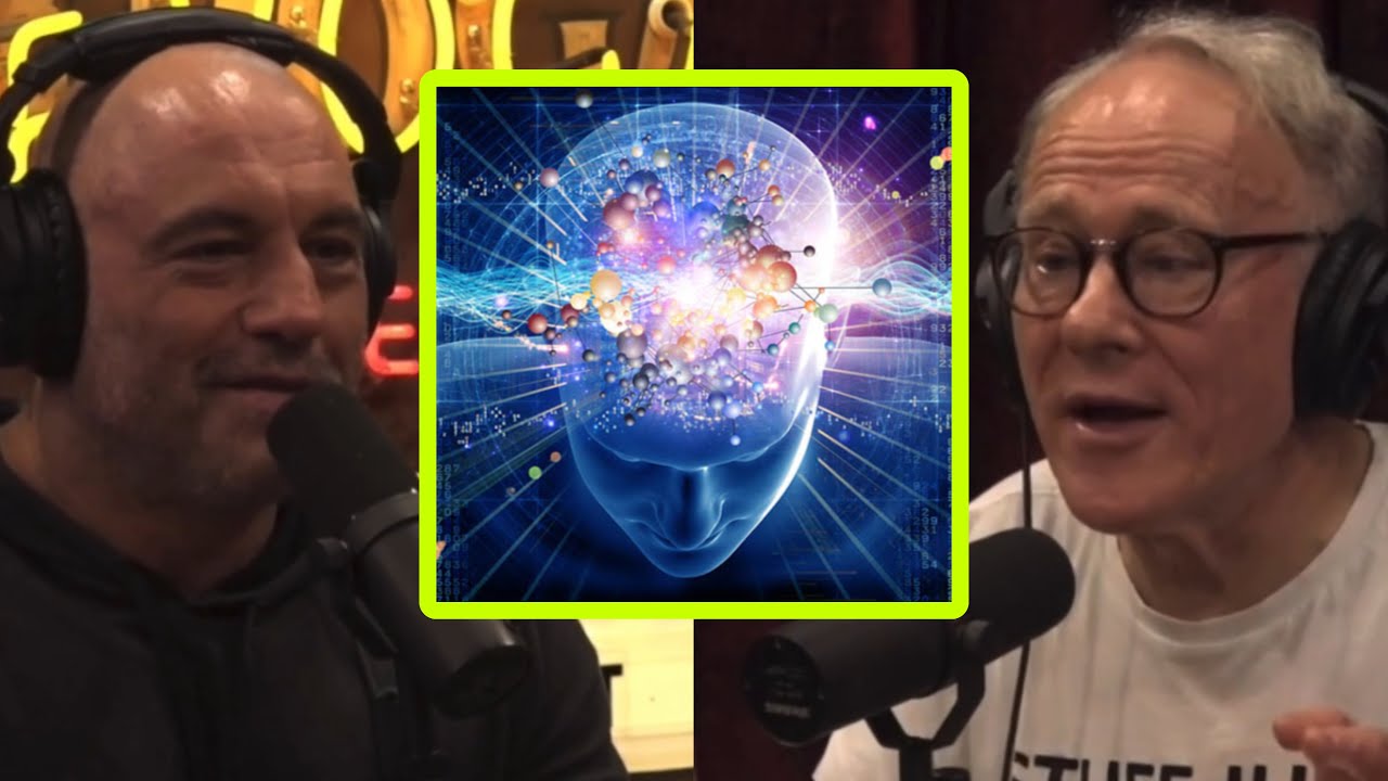 Joe Rogan - DMT research might PROVE Inter-dimensional Travel! - YouTube