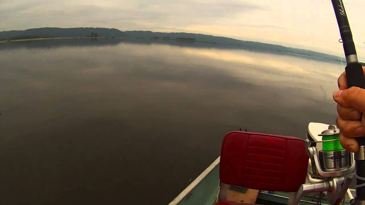 Sheepshead Fishing Near Lansing, Iowa - YouTube