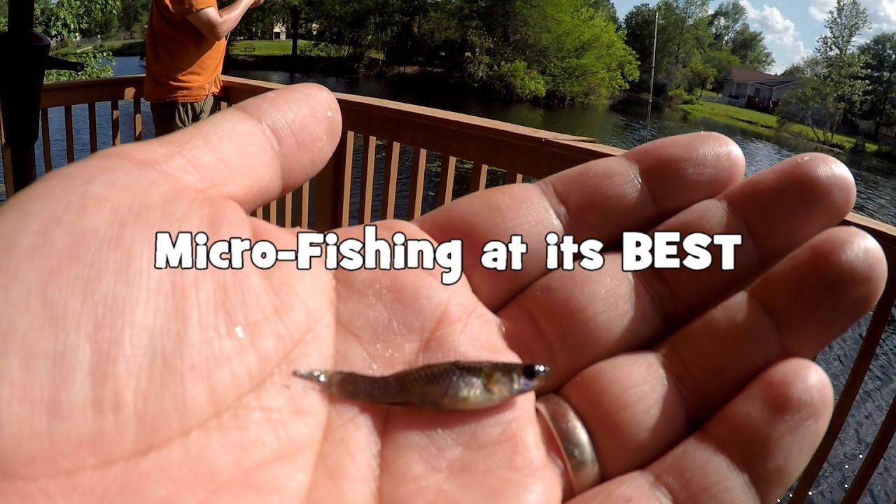 I Caught my SMALLEST FISH Yet! Micro Fishing at its Best (Myrtle Beach ...