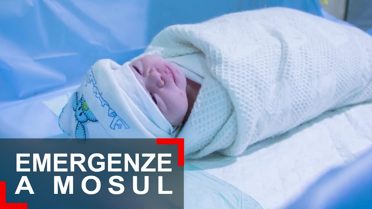 Loris De Filippi, coordinatore delle emergenze MSF da Mosul - YouTube