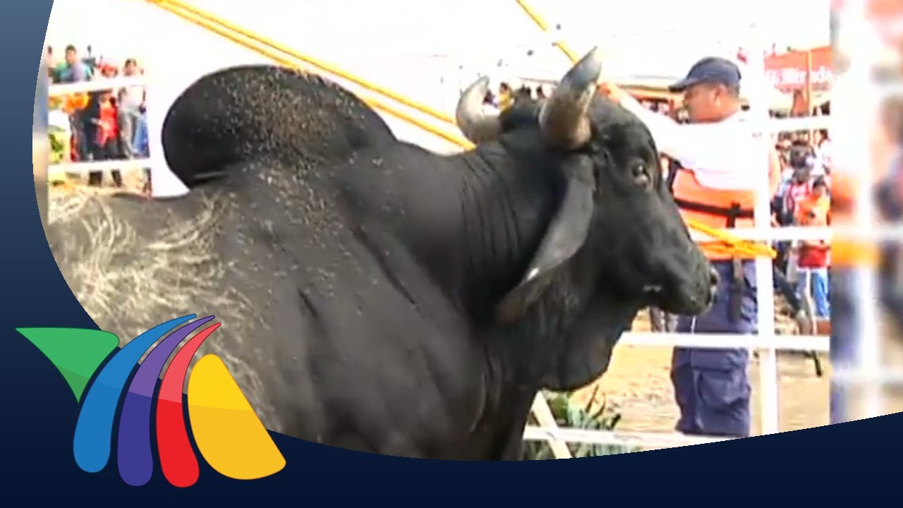 Tradicional embalse de Toros en Veracruz - YouTube