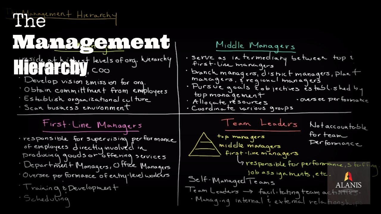 The Management Hierarchy: A Look Into the Different Levels of ...