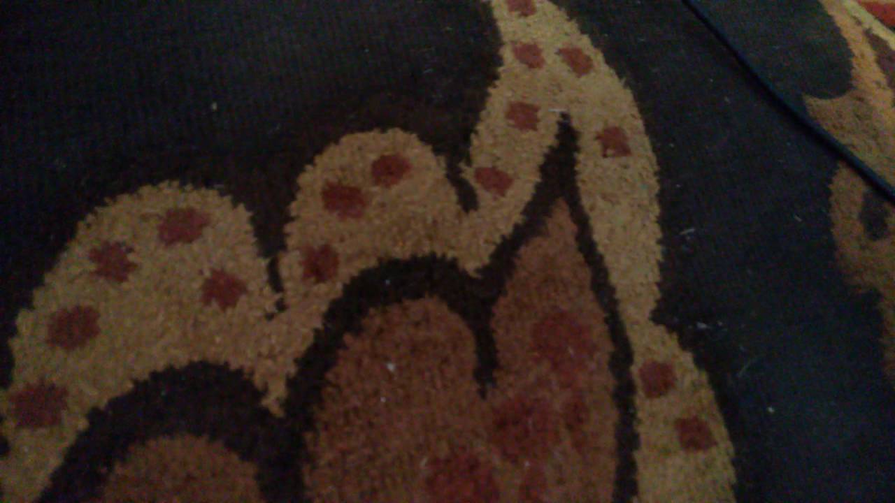 My goanimate DVD collection - YouTube