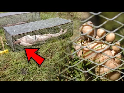 Body Farm In Texas Plant Real Human Corpses For Science - YouTube
