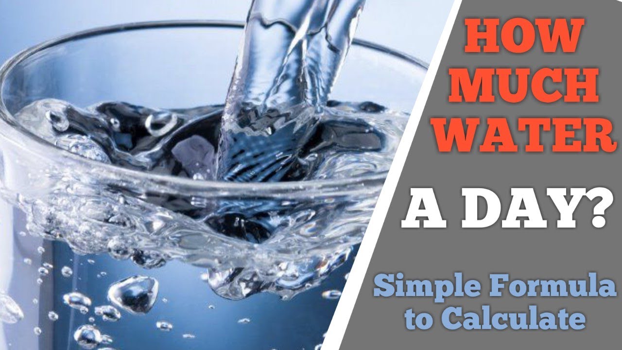 HOW MUCH WATER IN A DAY ? Detailed Information Of Water Requirement by ...